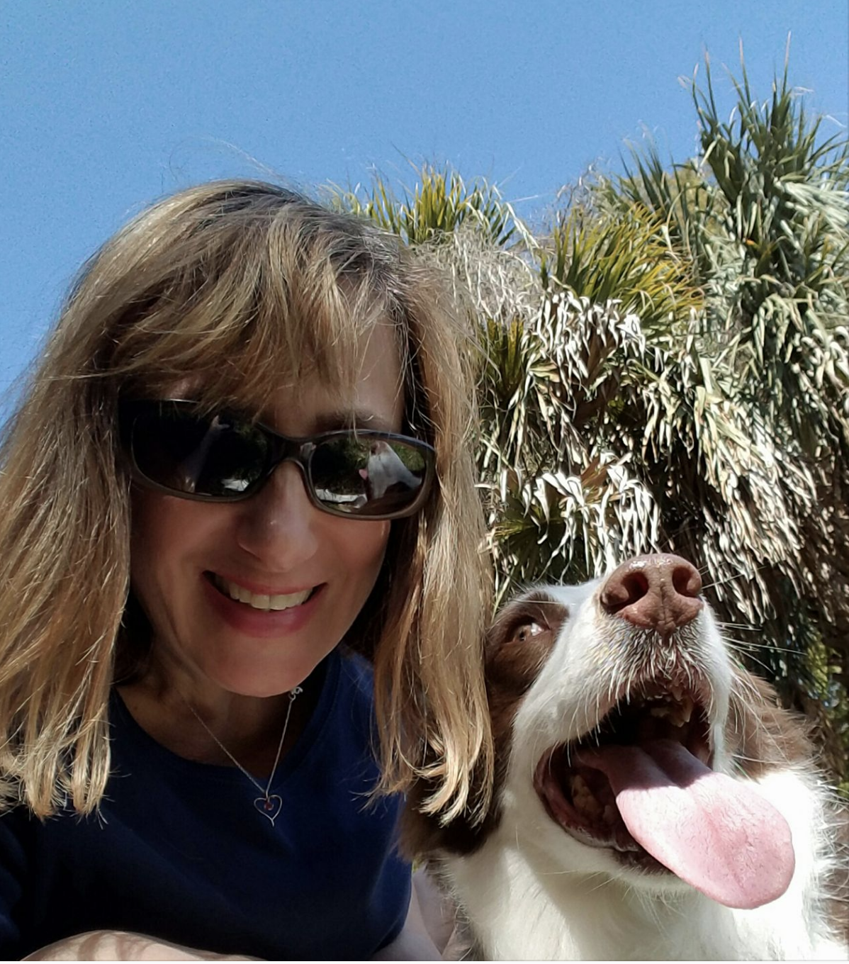 Joy's Tale | Rescued. Adopted. Loved.